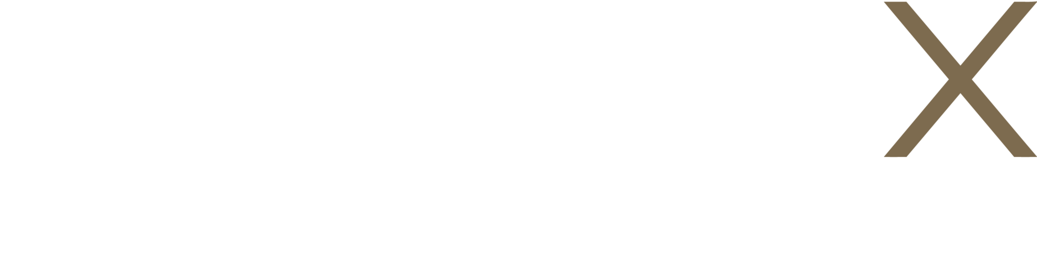 Úvod - Dealingové oddělení stockX